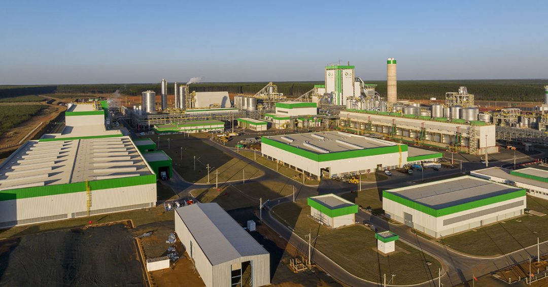 LD Celulose atinge 100% da capacidade de produção - Mais Floresta