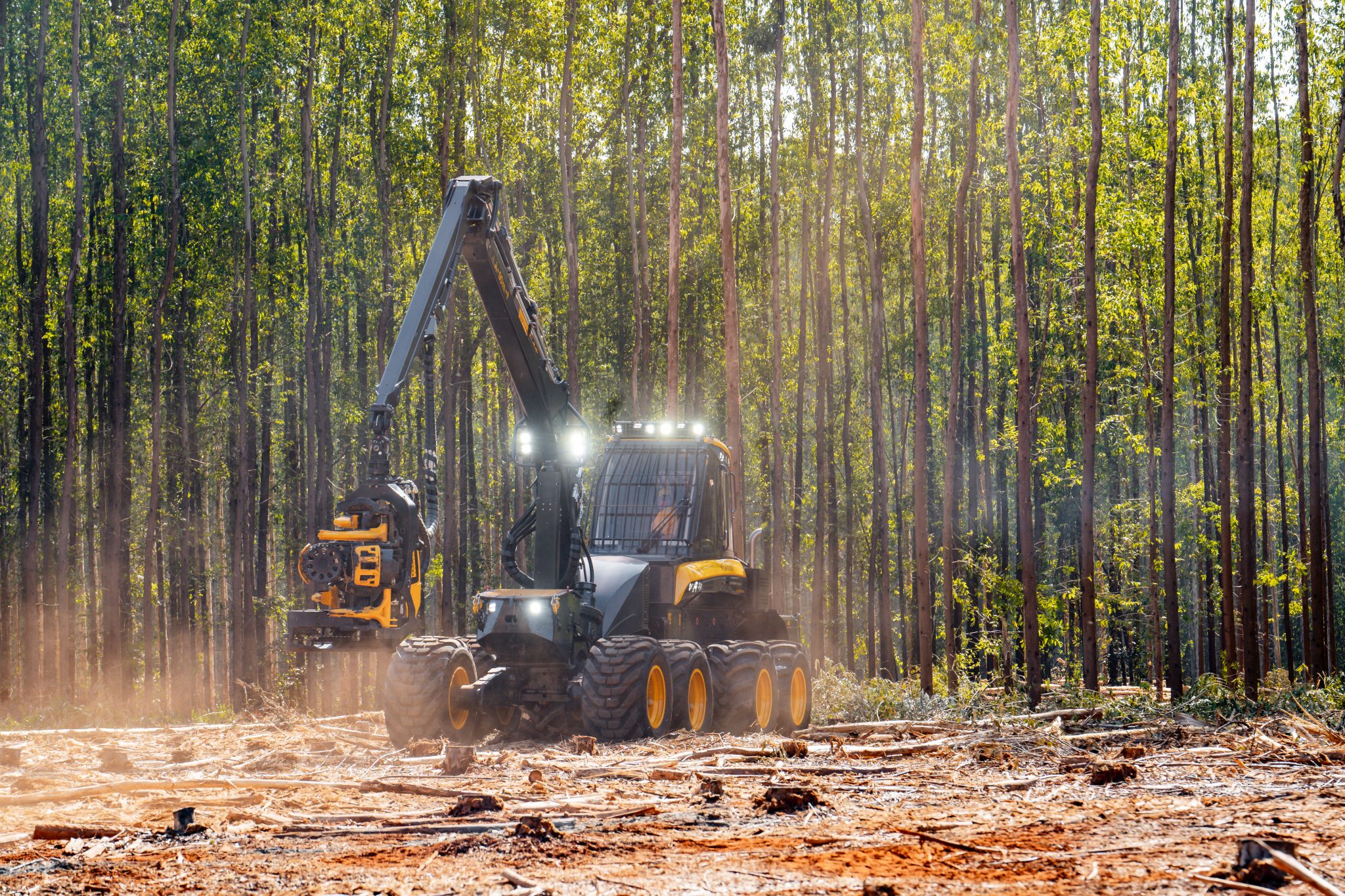 Exclusivo – Linha do tempo: contribuição da Ponsse na história da ...
