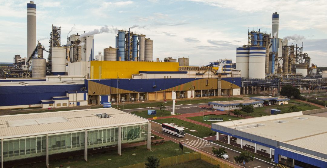 Suzano celebra centenário com a intenção de investir US$ 100 milhões em ...