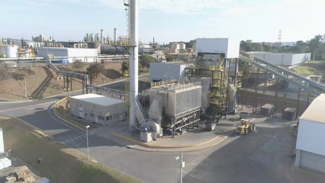 Exclusiva – BioComForest: Ecogen Brasil apresentará soluções na geração ...