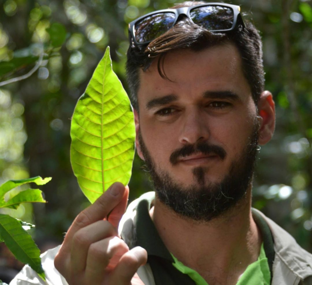 Monitoramento da flora identifica 266 novas espécies em áreas da ...