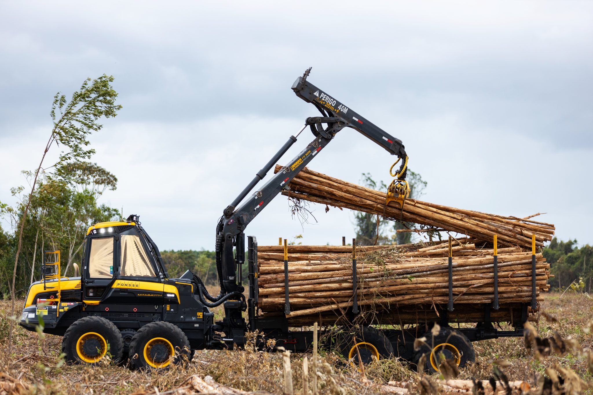 Ponsse realiza demonstração do PONSSE Mammoth em florestas brasileiras ...