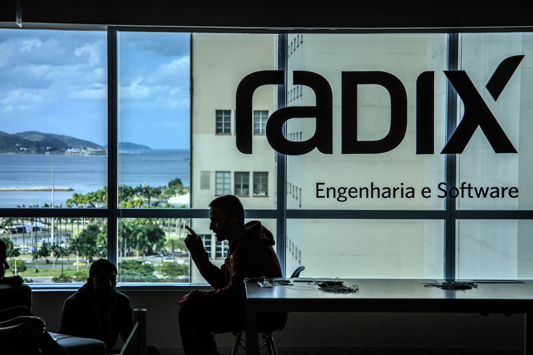 Radix expande atuação no setor de celulose e cria plano de ...