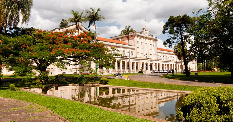 Engenharia Agronômica da ESALQ faz parceria com a Suzano para entender ...