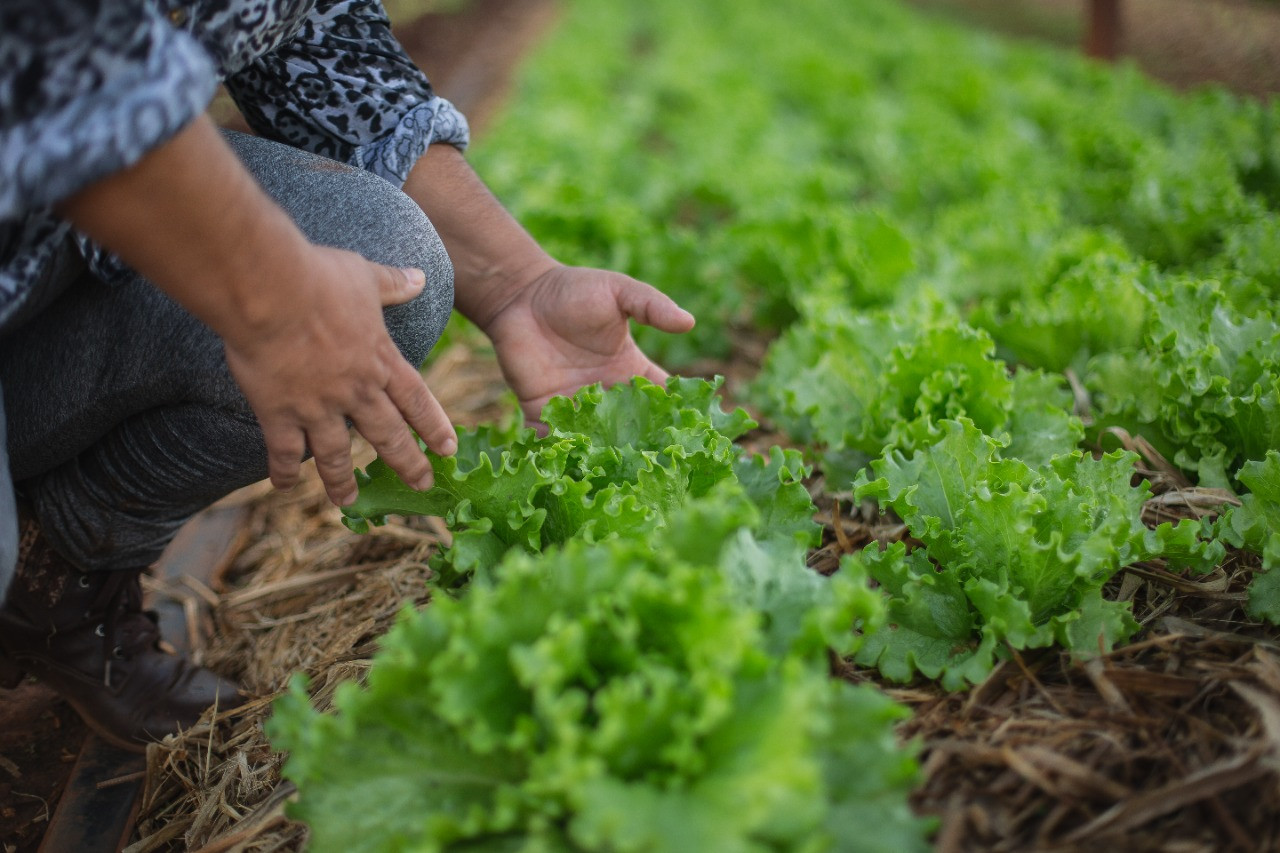 Suzano retira 18,3 mil pessoas da linha da pobreza em suas áreas de ...